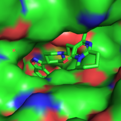 Flextra 400 mg Nedir? Ne İçin Kullanılır? Yan Etkileri Nelerdir?